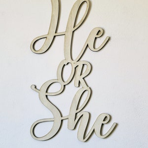 He or She Sign Gender Reveal Decor, Baby Shower Backdrop, Boy or Girl ...