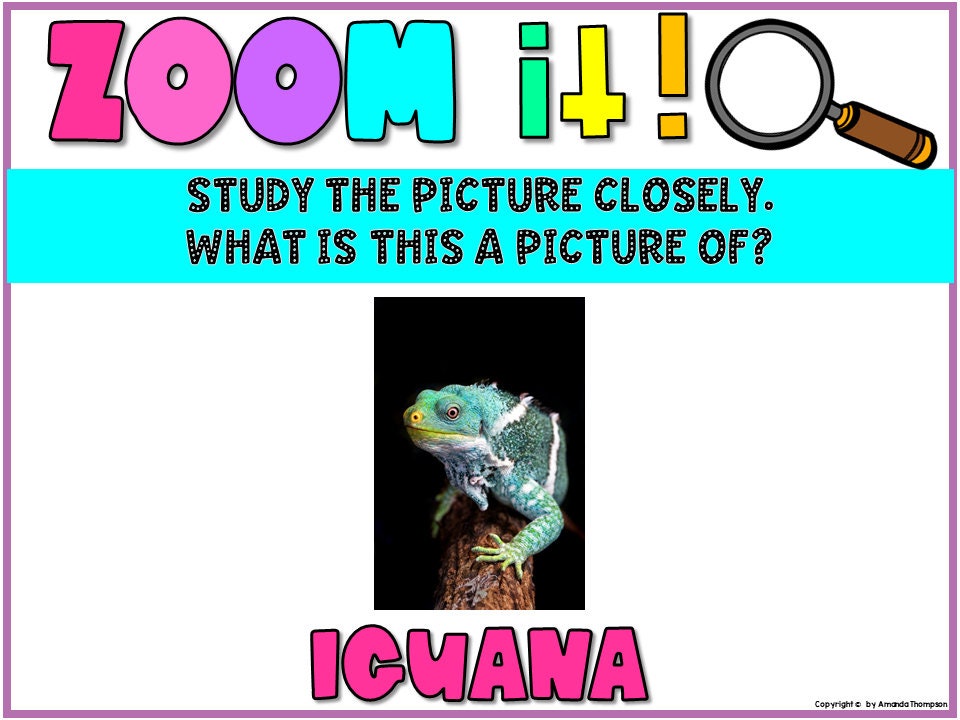Virtual Zoom It Game Party Game Games for ZOOM - Etsy