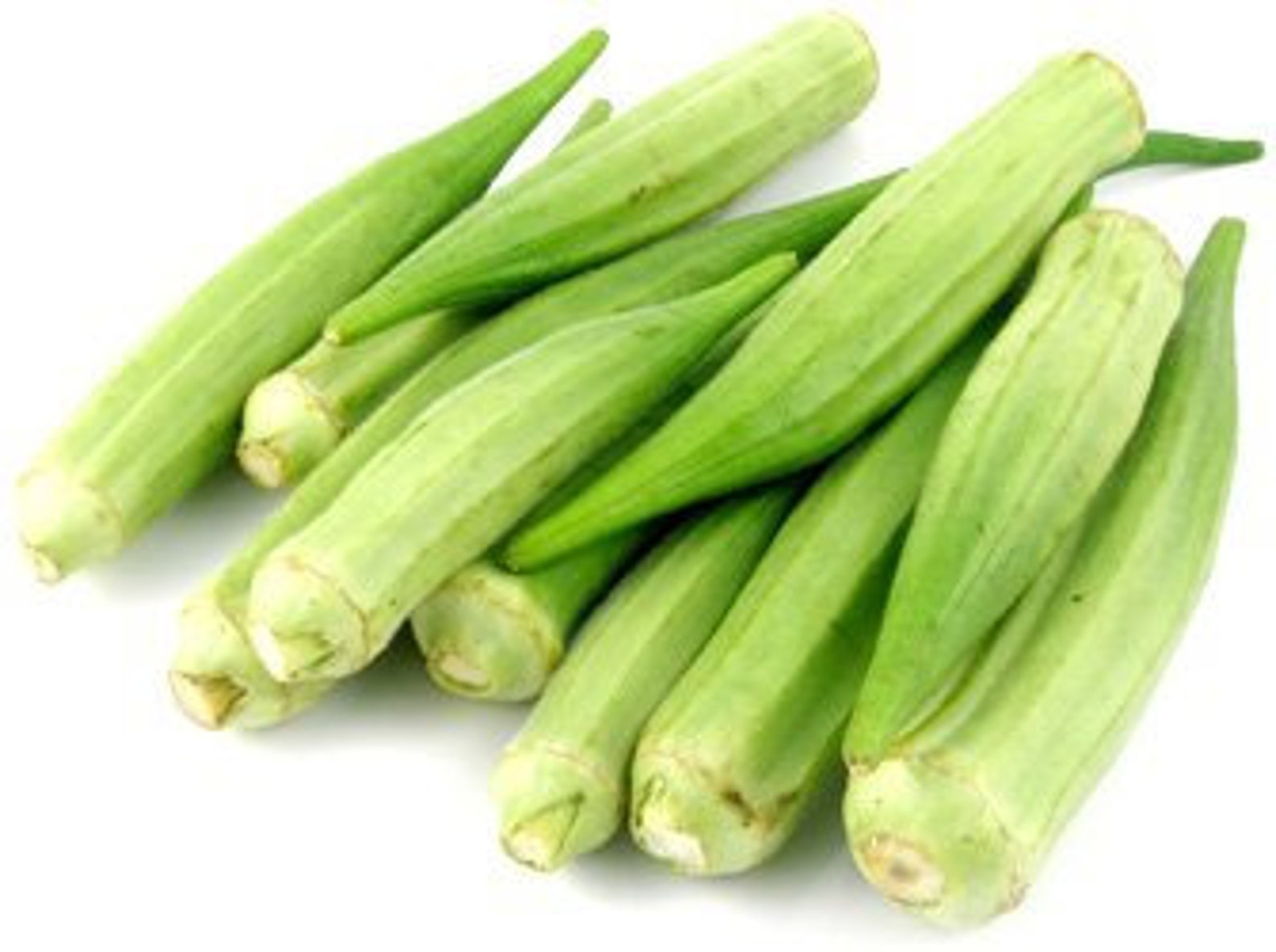 Okra Seeds Bamia 1g Natural Farmer's Dream Бамия - Etsy España