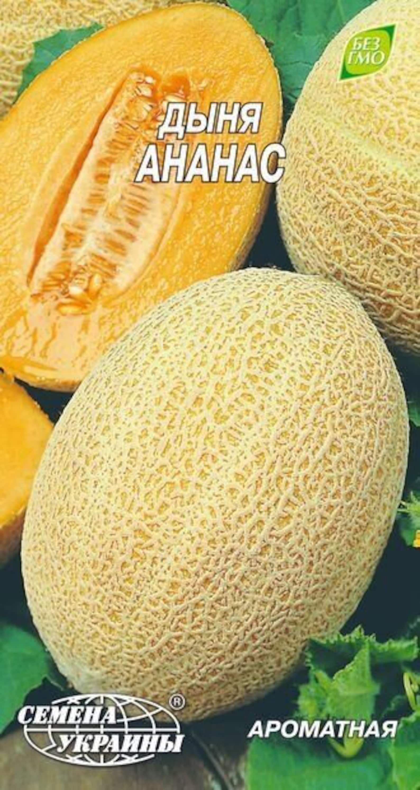 Melon Seeds ananas Sweet Pineapple 1g Natural Farmer's Dream Дыня ...