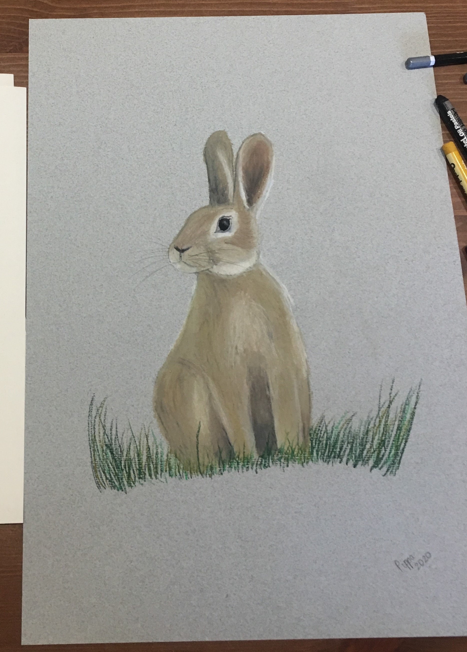 Hand Created Rabbit in Oil Pastel. A3 Rabbit. - Etsy