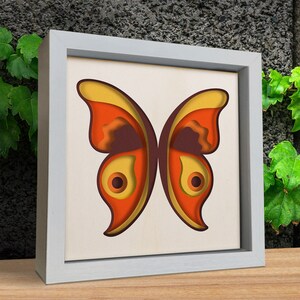 3d Butterfly Shadow Box Bundle, 3d Svg Bundle, Multilayer Paper Cut ...
