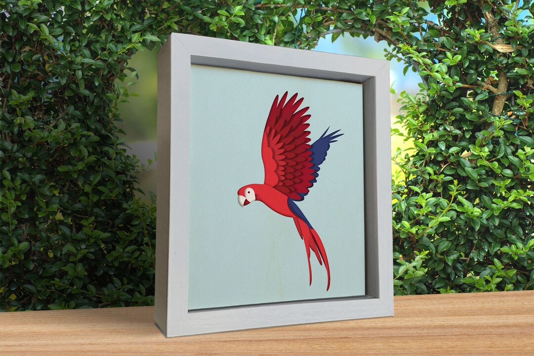 3d Bird Svg Shadow Box Svg 3d Parrot svg Flaying Wings - Etsy España