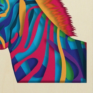 3d Zebra, Shadow Box Svg, Colorful Layers Svg , Papercut, Files for ...
