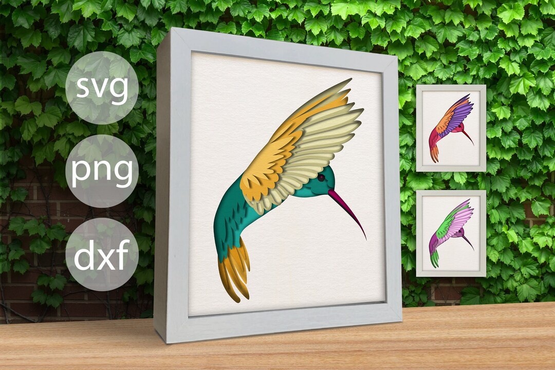 3d Hummingbird SVG, Shadow Box Template, Bird 3D SVG Shadowbox, Layered ...