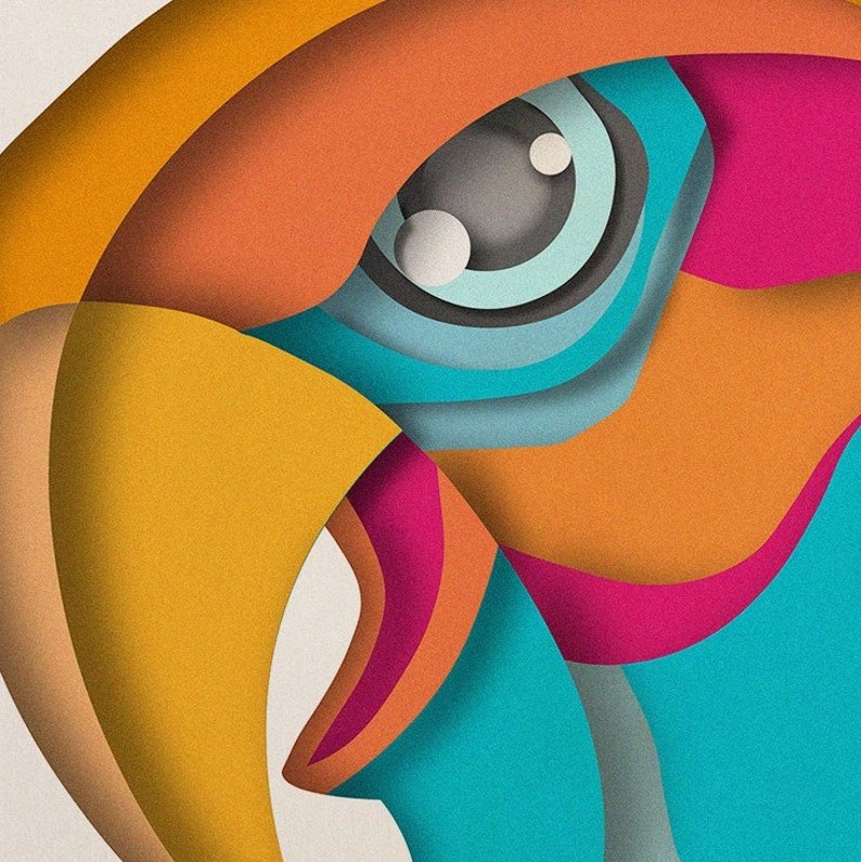 3D Parrot SVG Shadow Box SVG Digital Download Files Shadow - Etsy