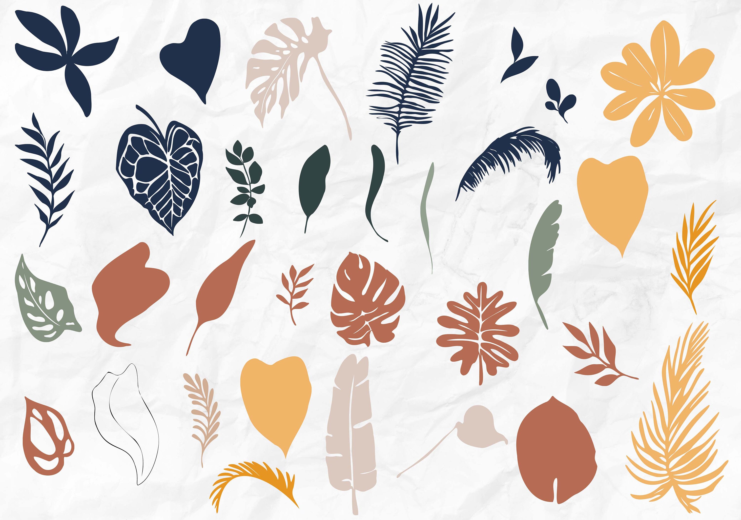 Feuilles tropicales svg, Floral svg, Formes abstraites svg, Feuilles d ...