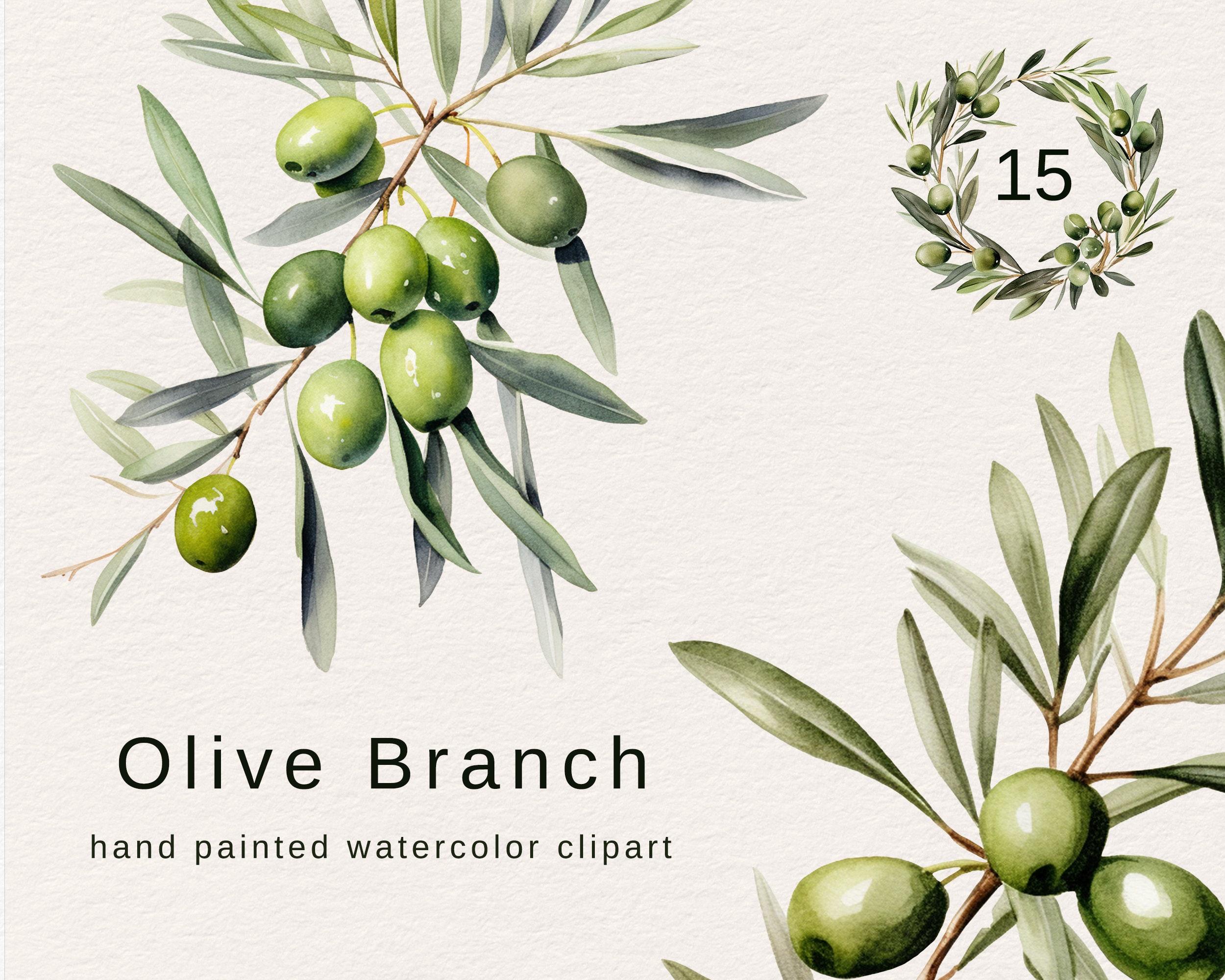 Olive Watercolor Clipart, Olive Branch Watercolor Clipart, Wedding ...