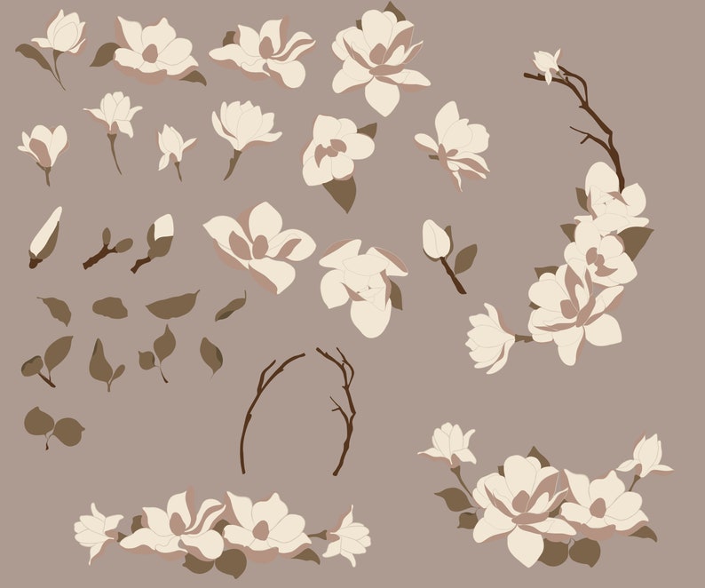 Botanical Svg and Png Floral Frame Floral Svg Flower Png - Etsy