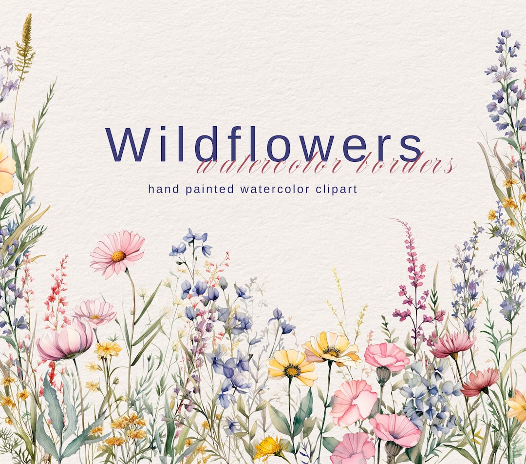 Wildflower Clipart, Floral Clipart, Wildflower Png, Meadow Flowers ...