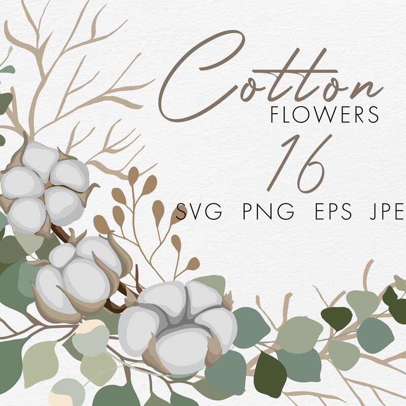 Cotton Svg - Etsy