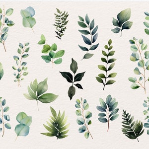 Greenery Watercolor Clipart, Eucalyptus Watercolor Clipart, Eucalyptus ...