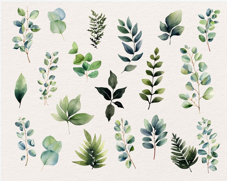 Greenery Watercolor Clipart, Eucalyptus Watercolor Clipart, Eucalyptus ...