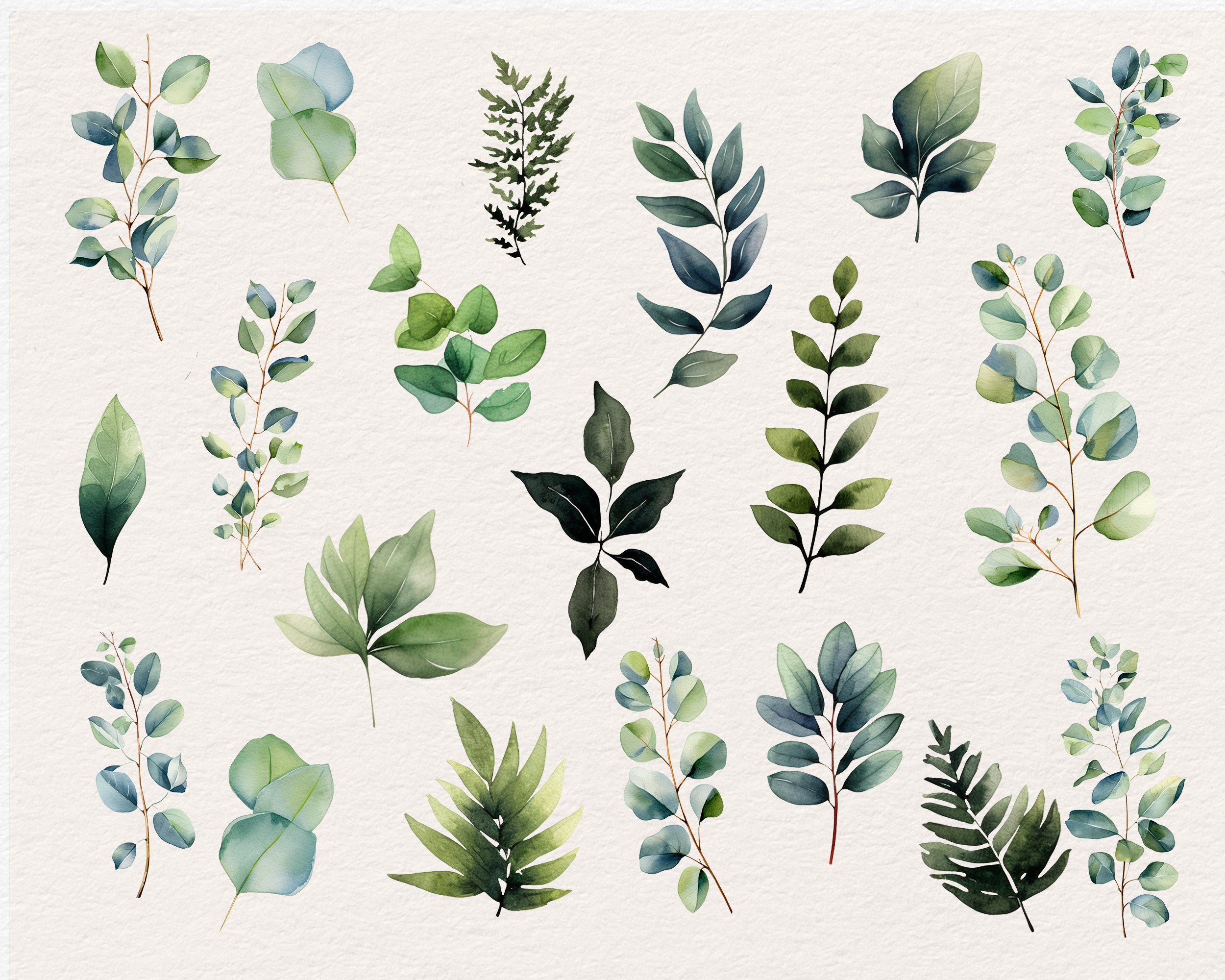 Greenery Watercolor Clipart, Eucalyptus Watercolor Clipart, Eucalyptus ...