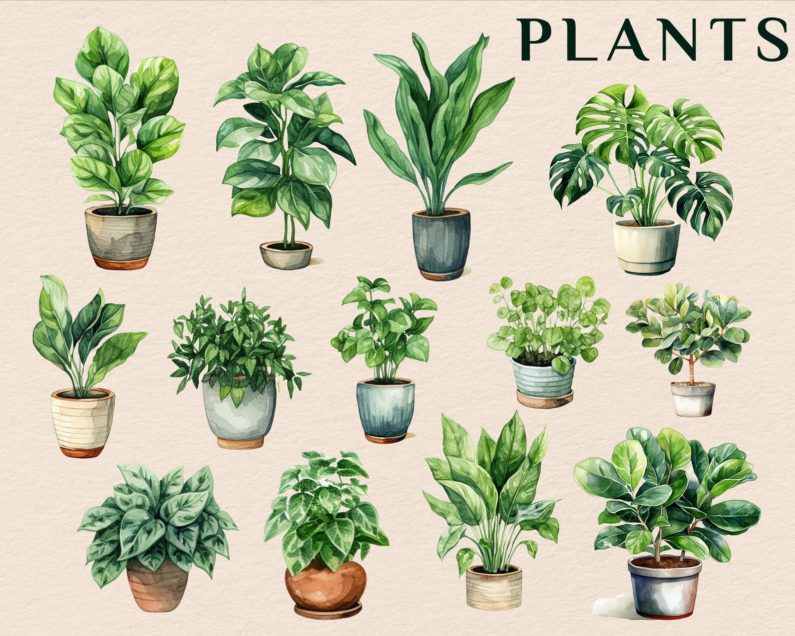 Indoor Plants Watercolor Clipart Watercolor Plants Clipart - Etsy