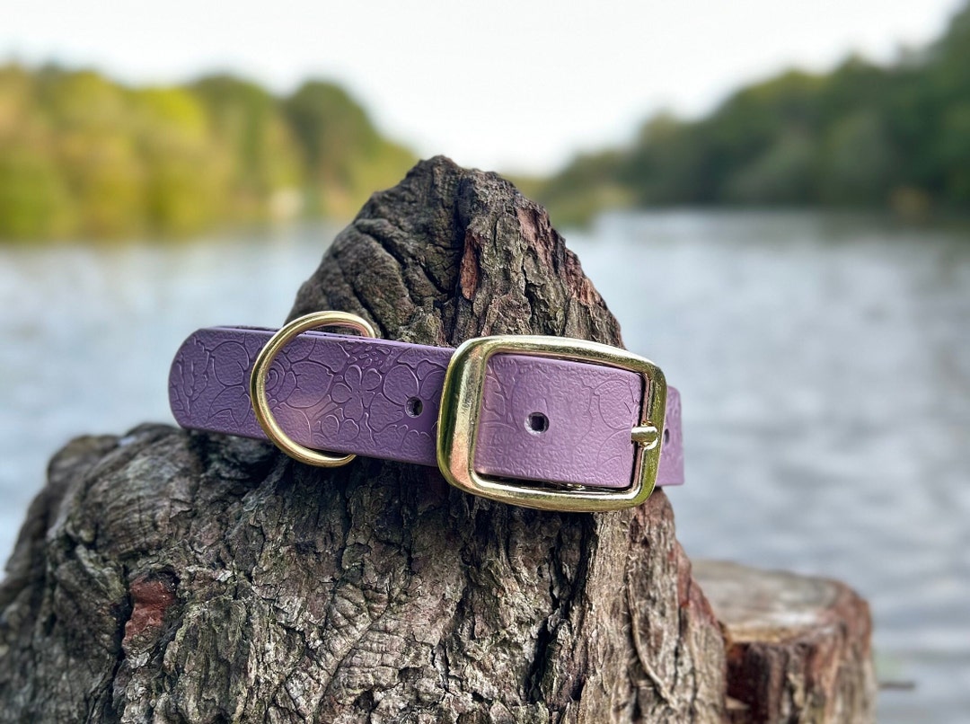 Mallow Waterproof Dog Collar | Personalised Biothane | Custom Print ...