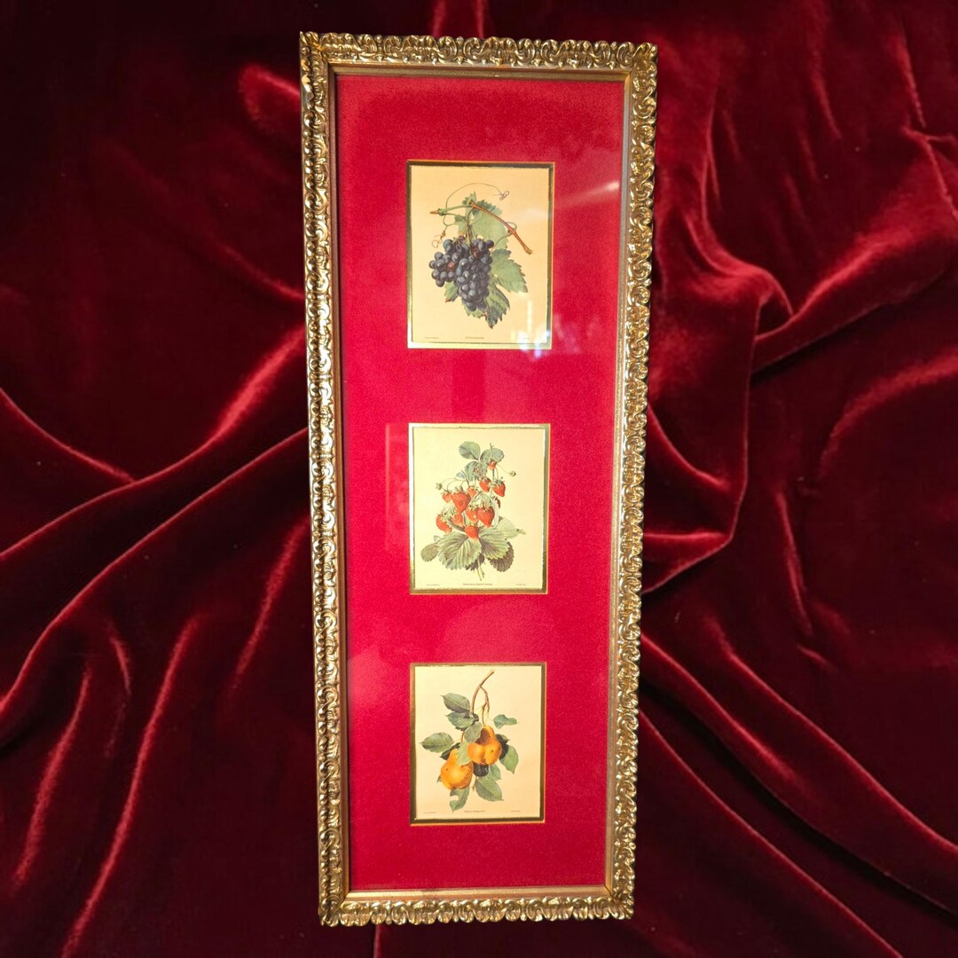 Vintage Ornately Framed Fruit Prints by Turner Mfg. - Nearly 2ft Tall ...