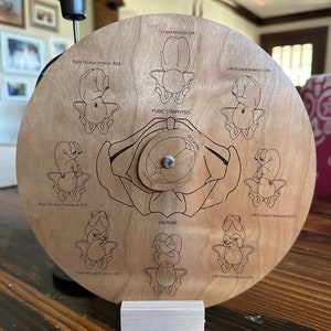 Fetal Compass Rose / Position Chart - Etsy Hong Kong