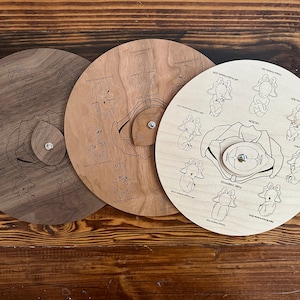 Fetal Compass Rose / Position Chart - Etsy Australia