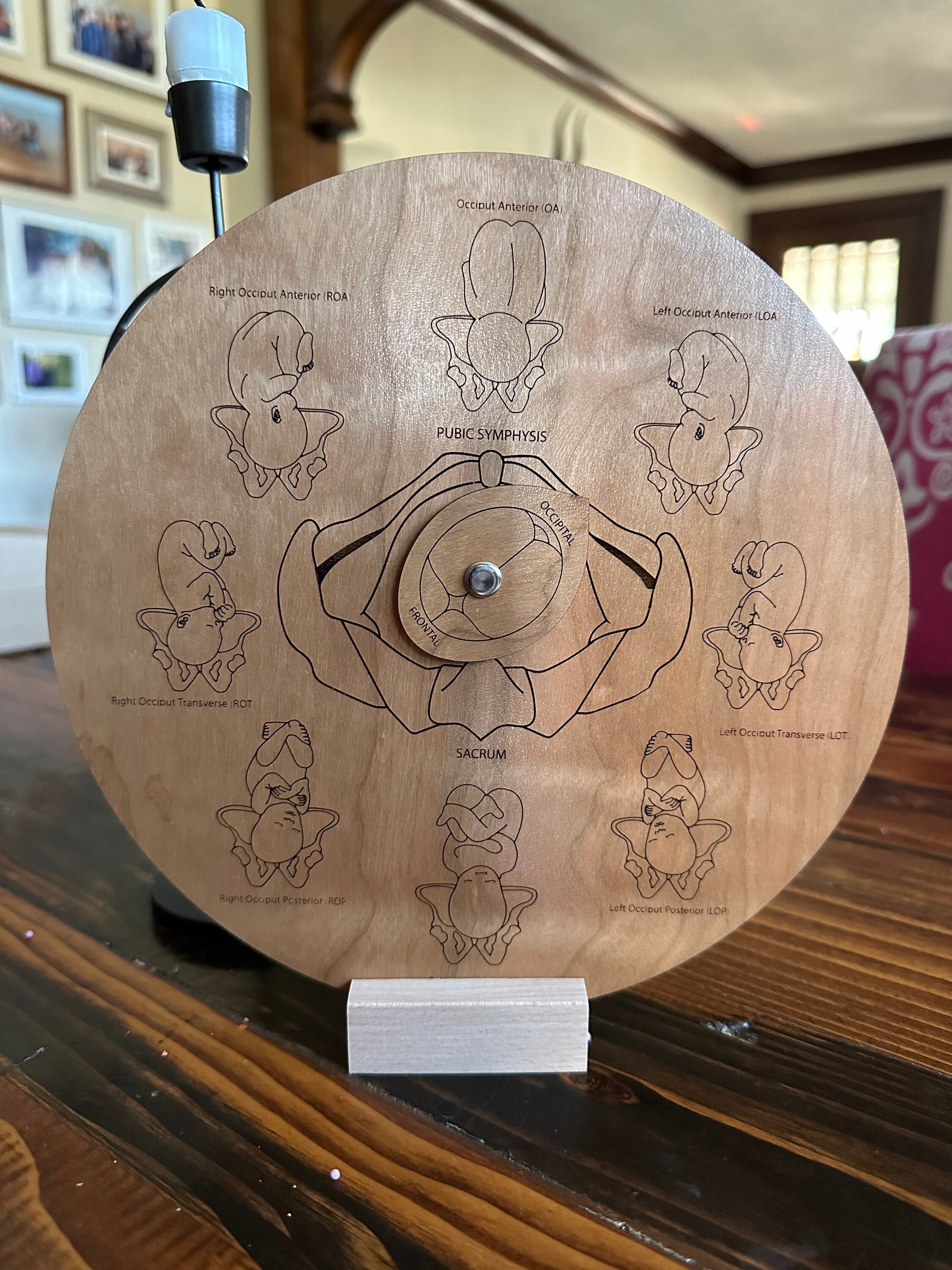 Fetal Compass Rose / Position Chart - Etsy