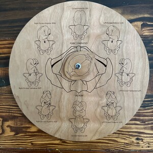Fetal Compass Rose / Position Chart - Etsy