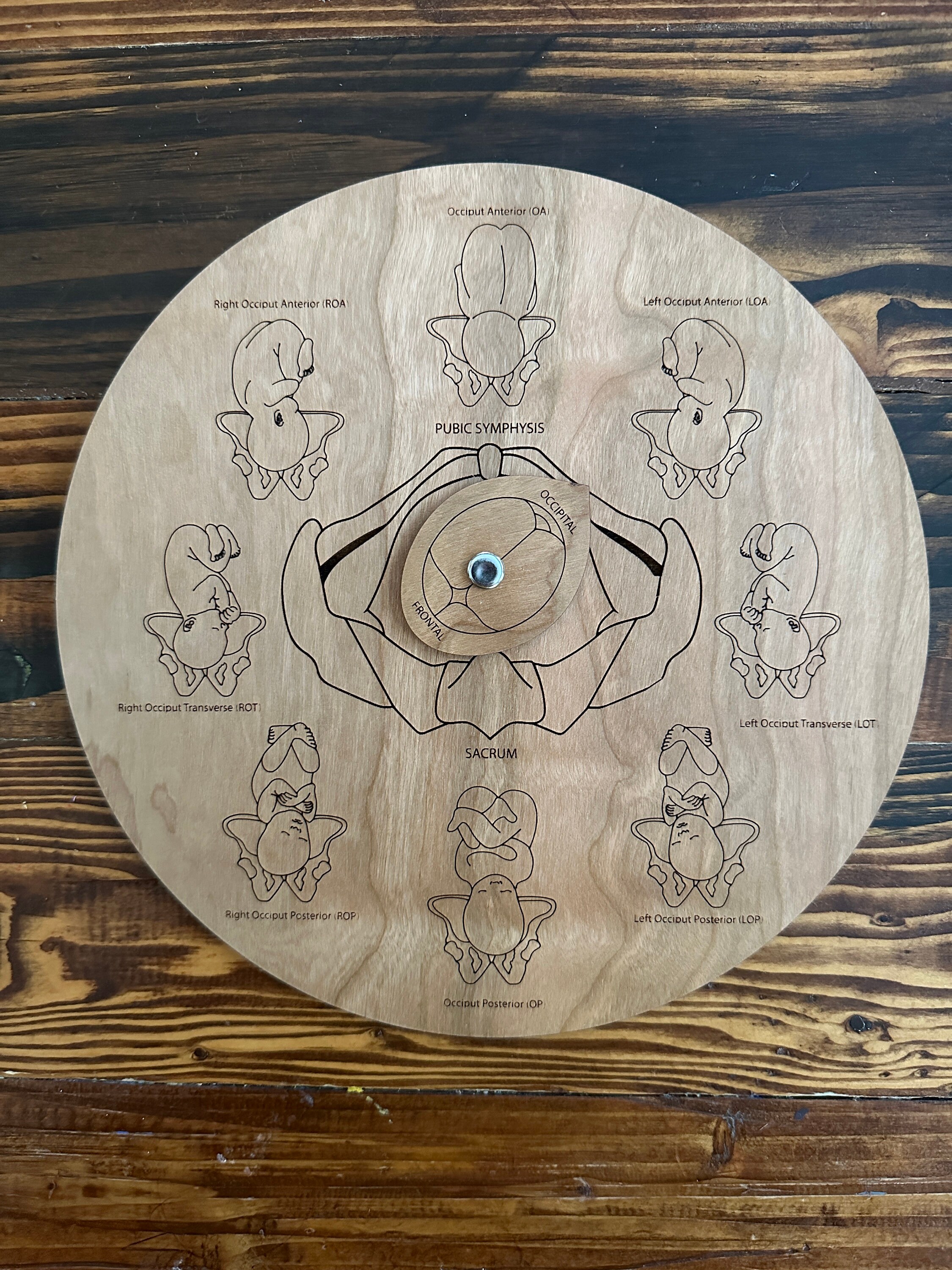 Fetal Compass Rose / Position Chart - Etsy