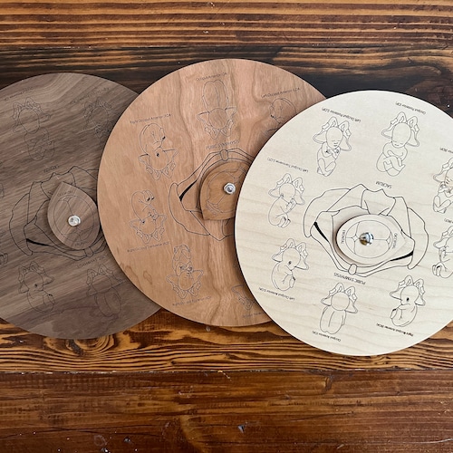 Fetal Compass Rose / Position Chart - Etsy