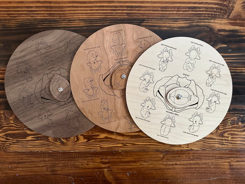 Fetal Compass Rose / Position Chart - Etsy Australia