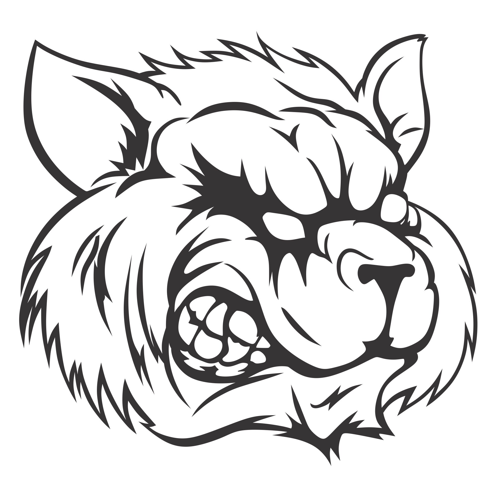 Raccoon Angry Svg, Raccoon Png, Raccoon Teeth Clipart, Printable ...