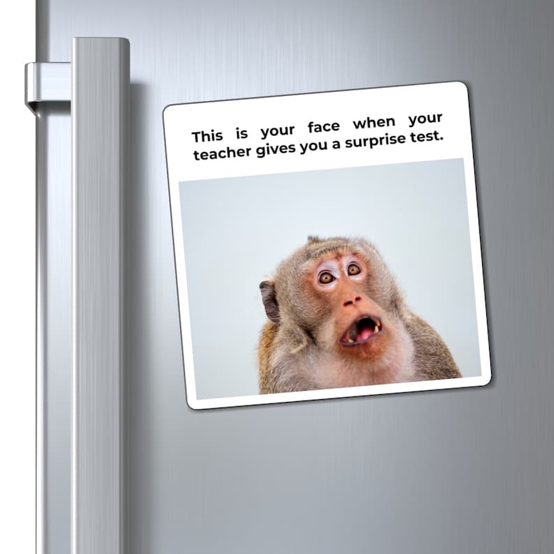 Surprise Test Meme Magnet Funny Meme Light-hearted Humour Durable Vinyl ...