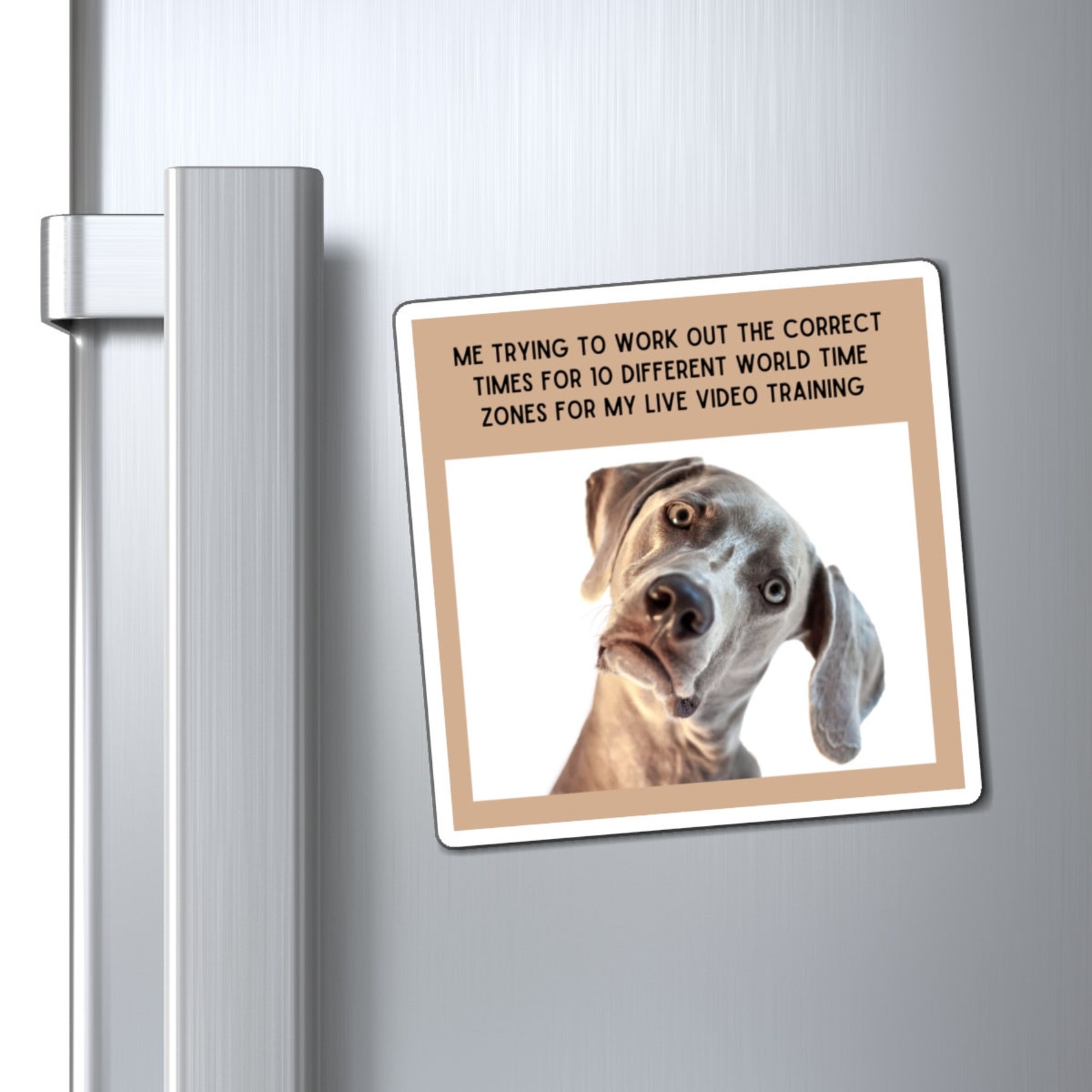 World Time Zones Meme Magnet Light-hearted Humour Durable Vinyl Magnet ...