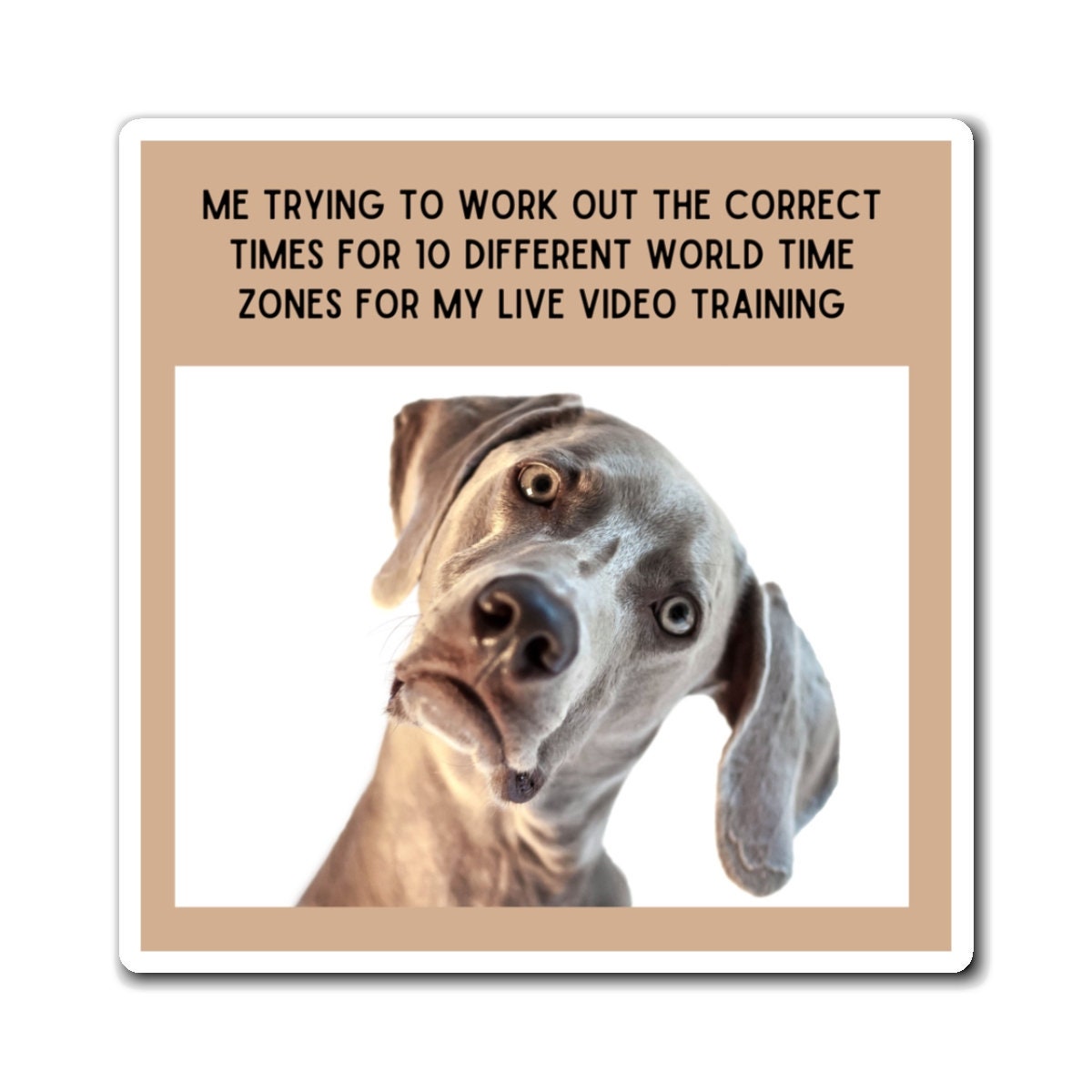 World Time Zones Meme Magnet Light-hearted Humour Durable Vinyl Magnet ...