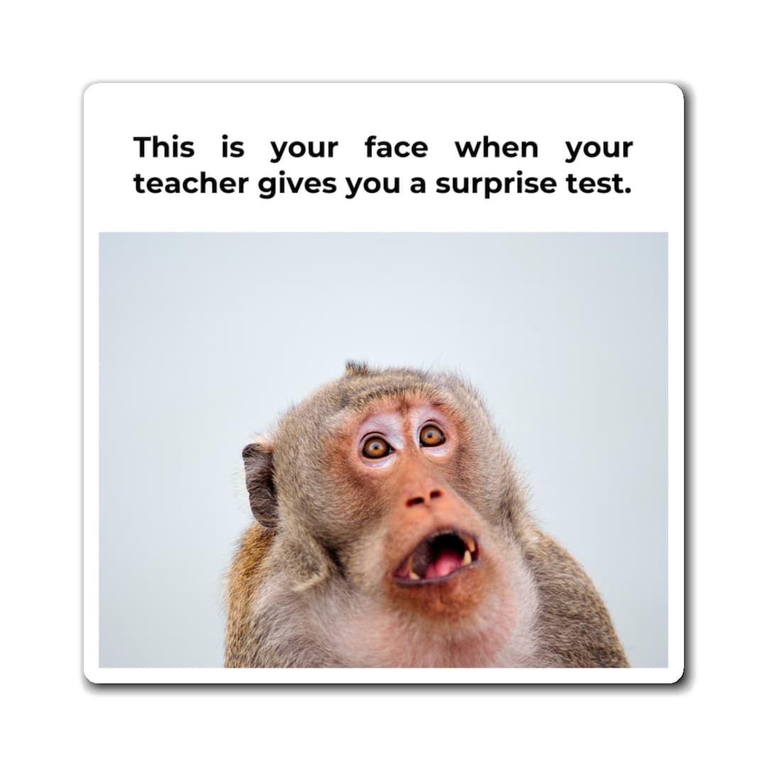Surprise Test Meme Magnet Funny Meme Light-hearted Humour Durable Vinyl ...