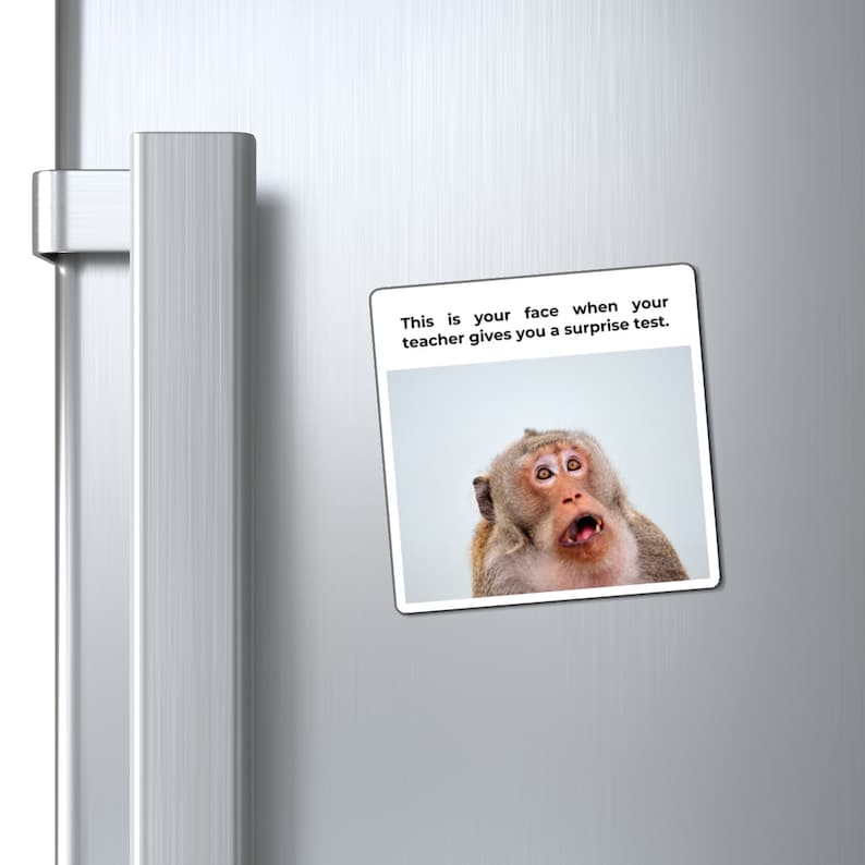 Surprise Test Meme Magnet Funny Meme Light-hearted Humour Durable Vinyl ...