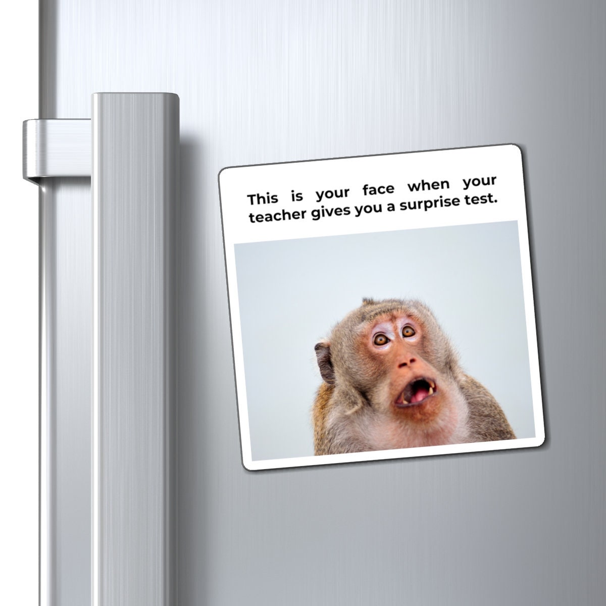 Surprise Test Meme Magnet Funny Meme Light-hearted Humour Durable Vinyl ...