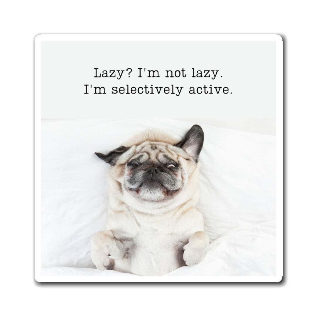 Selectively Active Meme Magnet Lazy Meme Light-hearted Humour Durable ...