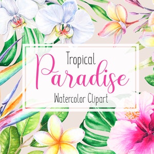 Tropical Leaves and Flowers Clipart Watercolor Summer - Etsy