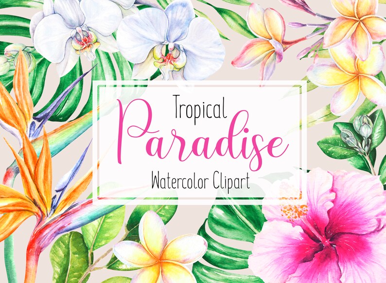 Tropical Paradise Watercolor Clipart Summer Floral Clipart - Etsy