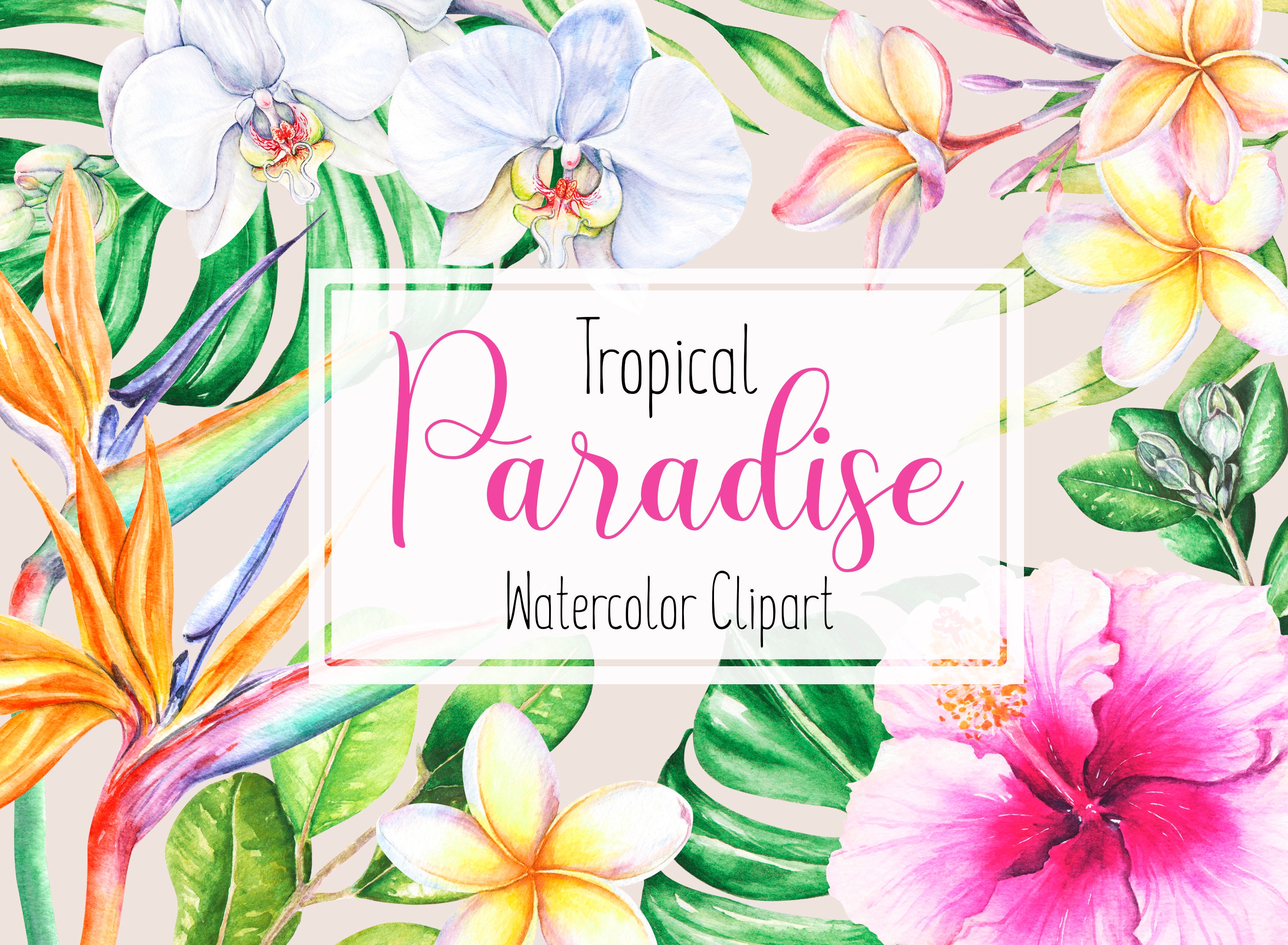 Tropical Paradise Clipart