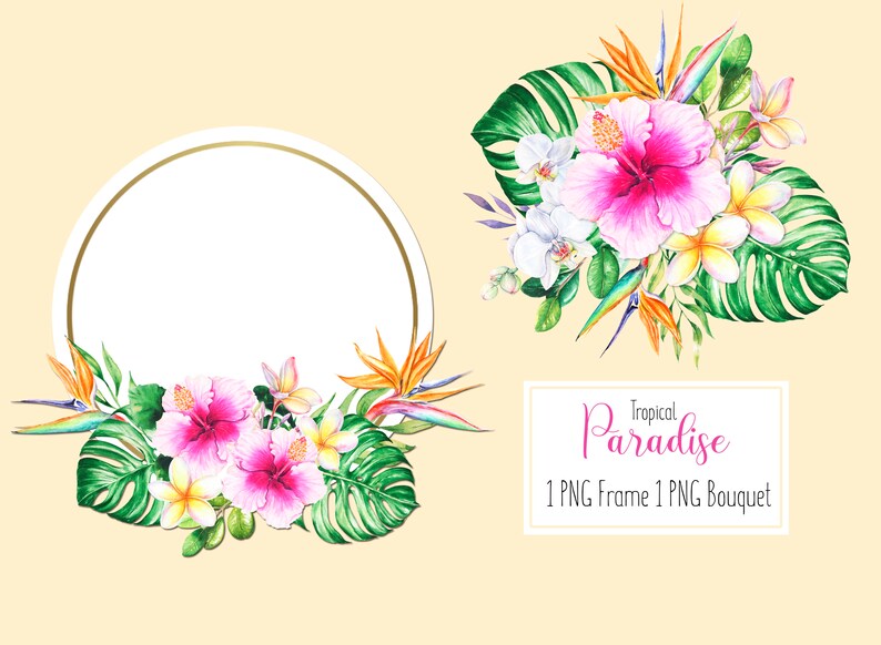 Tropical Paradise Watercolor Clipart Summer Floral Clipart - Etsy