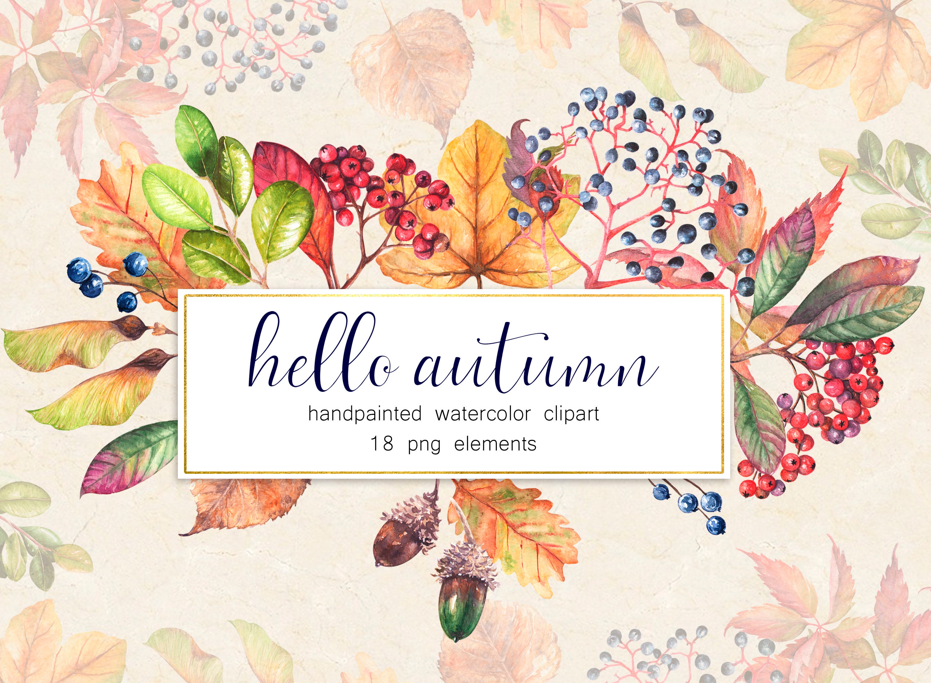 Autumn Leaves and Berries Clipart, Autumn Watercolor Clipart, Fall ...