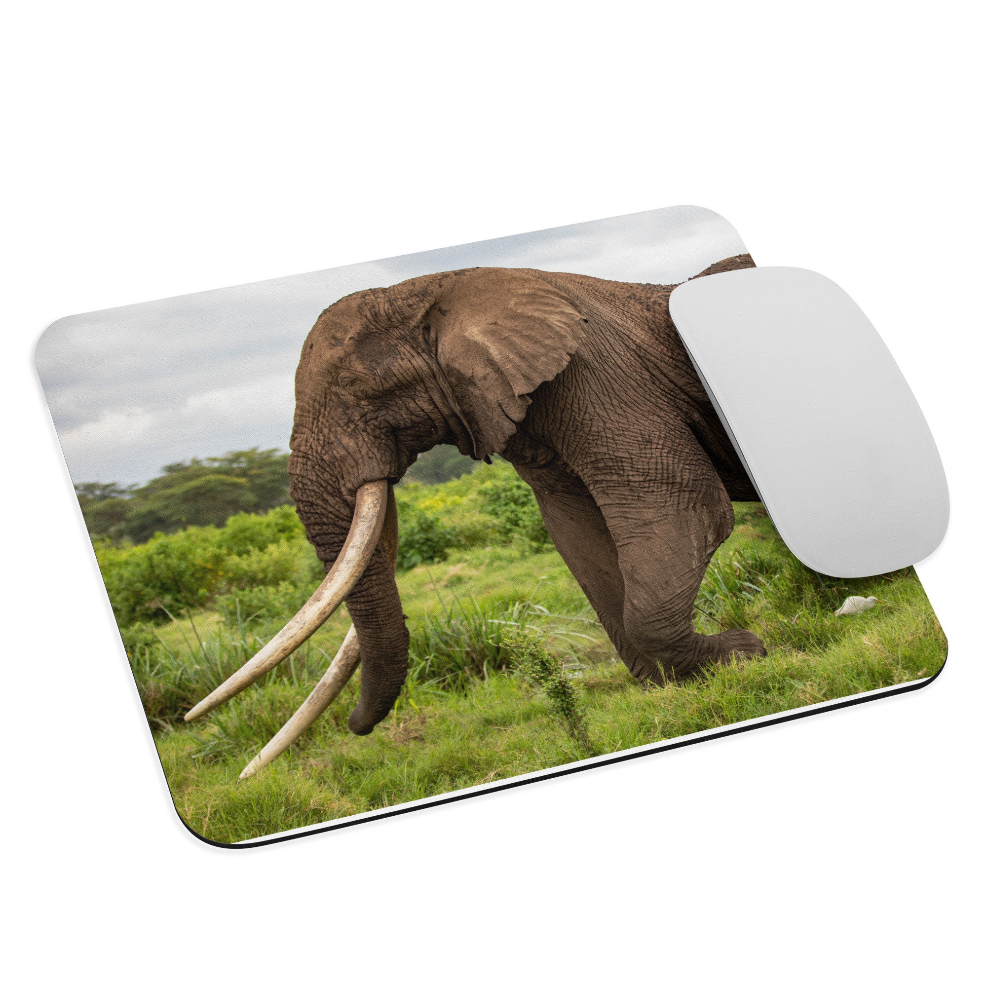 African Elephant Mousepad, Stunning Wildlife Design for Precise Mouse ...