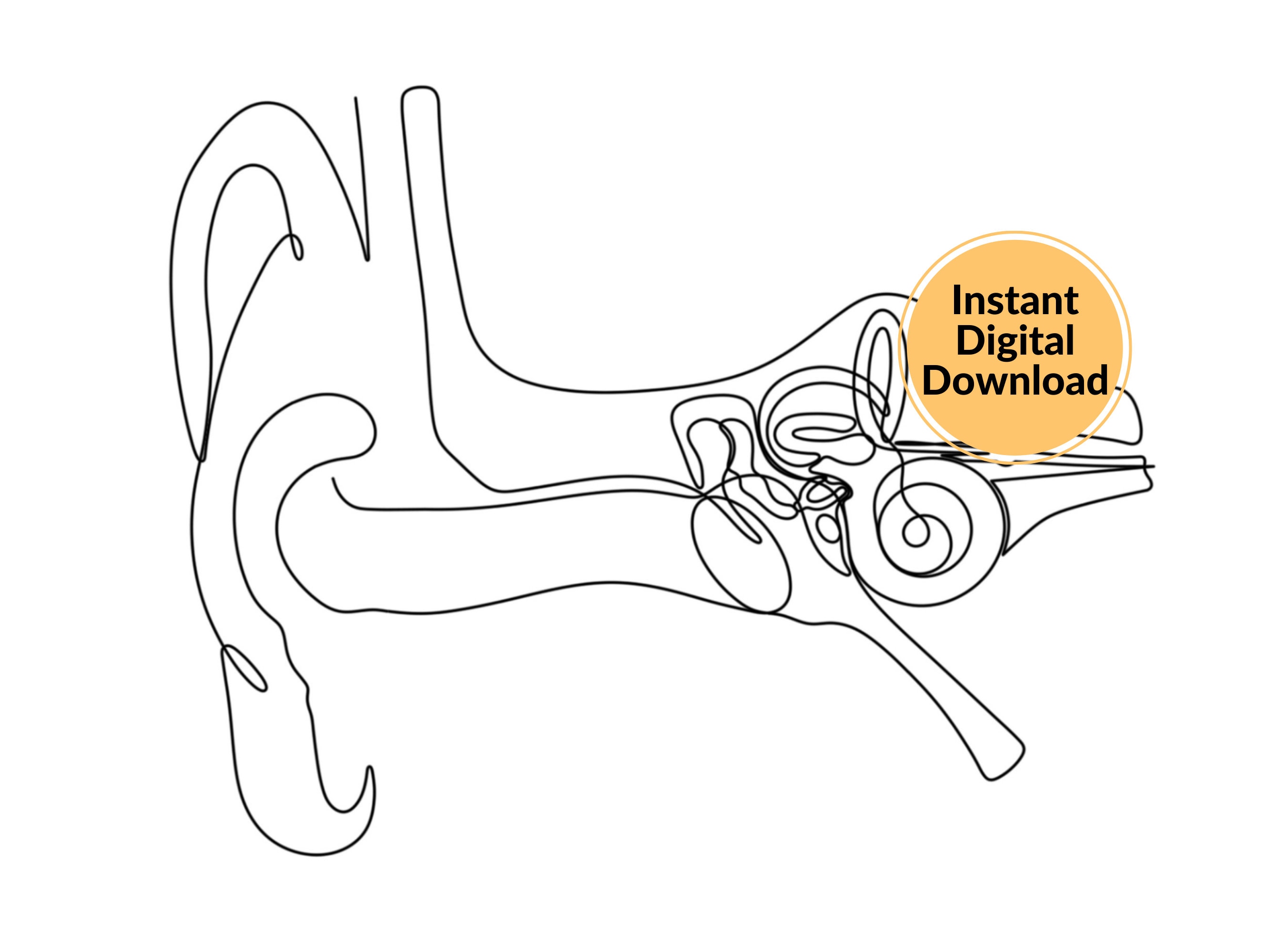 Ear Anatomy Line Art/printable Wall Art/audiology ENT Continuous Line ...