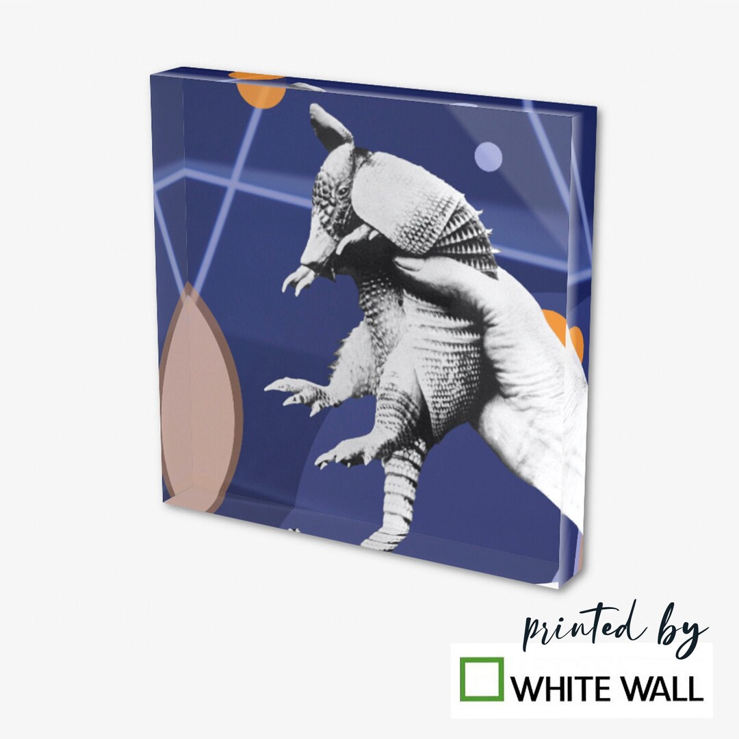 Armadillo Photo Art, Collage Armadillo, Acrylic Block gert Armadillo ...