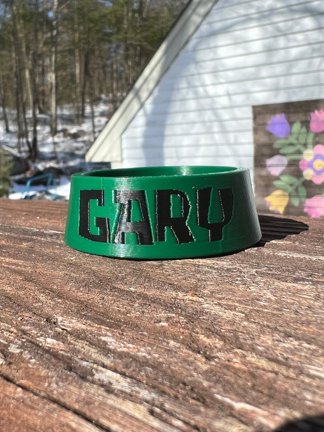 Gary's Bowl From Spongebob - Etsy