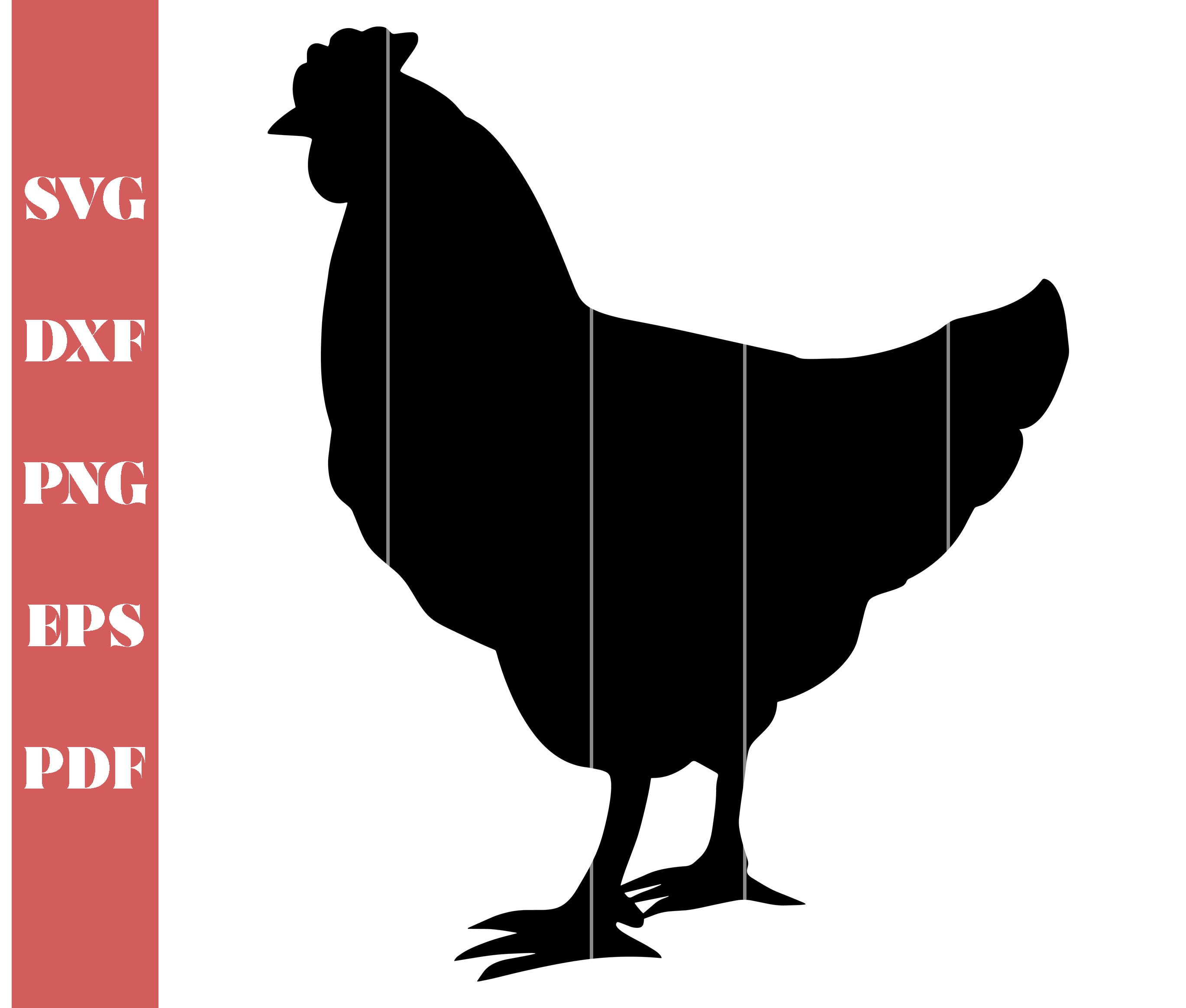 Chicken SVG Chicken DXF Chicken Clipart Chicken svg cut | Etsy