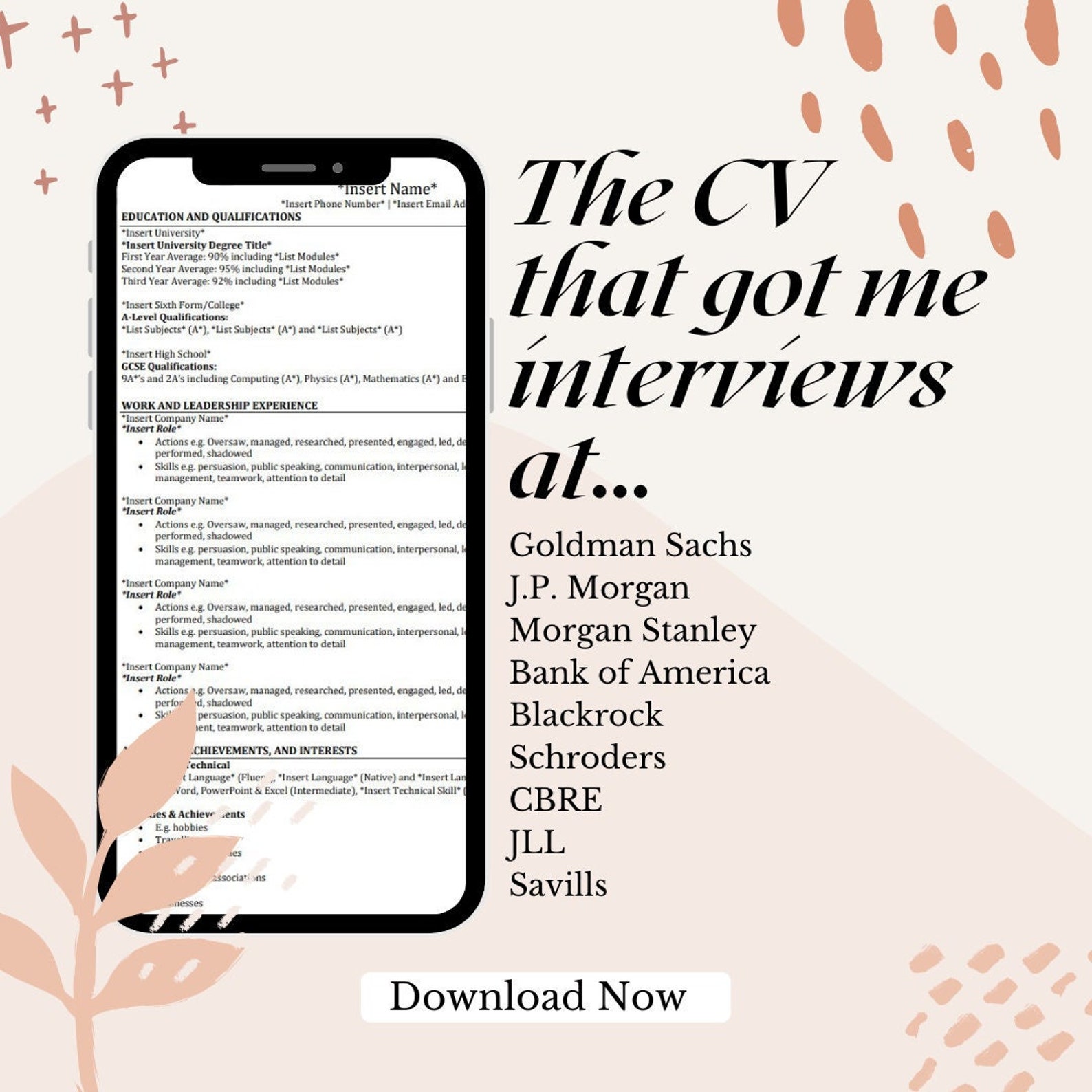CV Template - the CV That Got Me Interviews at Goldman Sachs, J.P ...