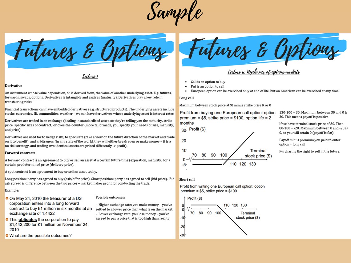 Economics: FUTURES AND OPTIONS Aesthetic Clear Detailed Revision Notes ...