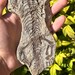RARE Barasaurus Skeleton Madagascar Fossil Late Permian Reptile ...