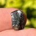 RARE Iguanodon Dinosaur Tooth Fossil Hastings UK Cretaceous Age Dino ...